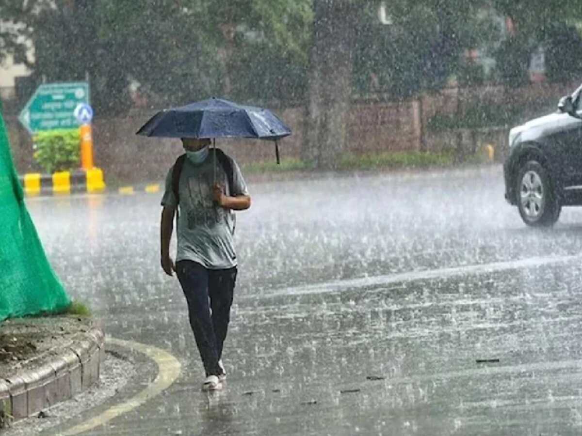 Tamil Nadu Rains: Schools To Remain Closed In THESE Districts Today, IMD Issues Alert