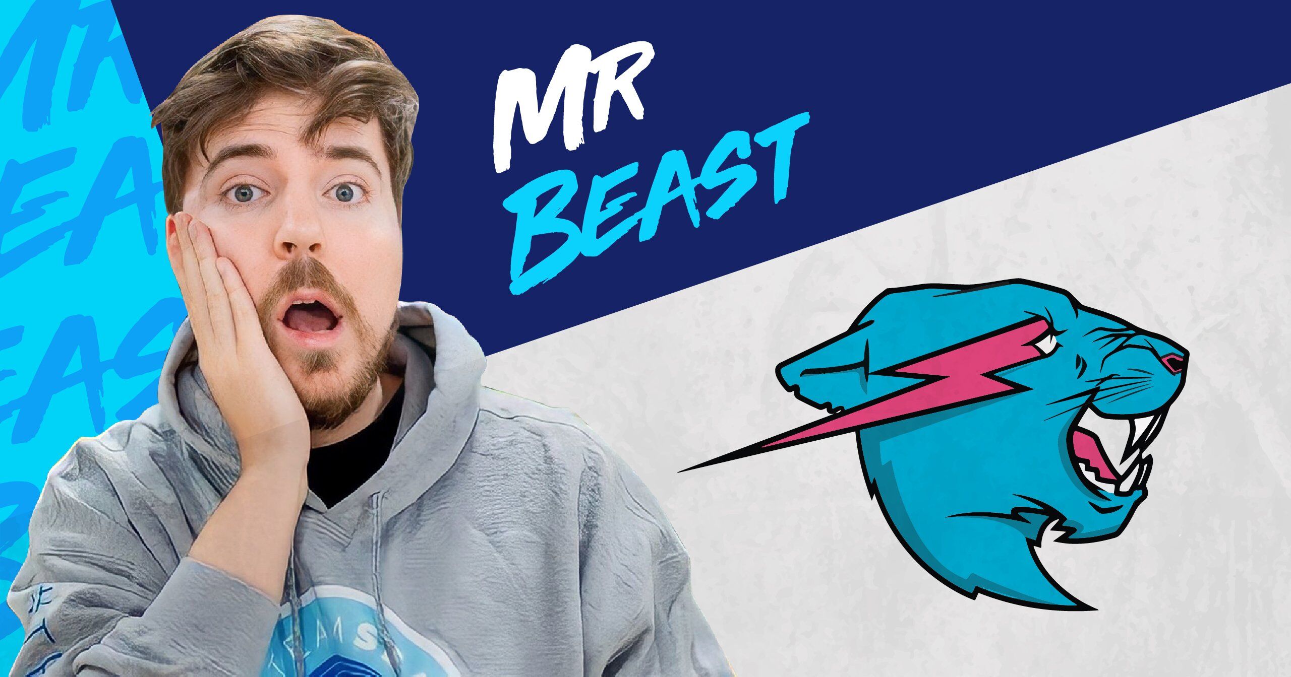 Mr Beast Net Worth in 2024: Real Name, Age, Lifestyle, and More