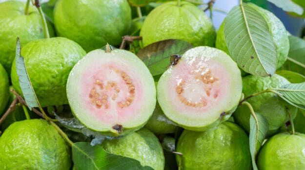 10 big benefits of eating guava