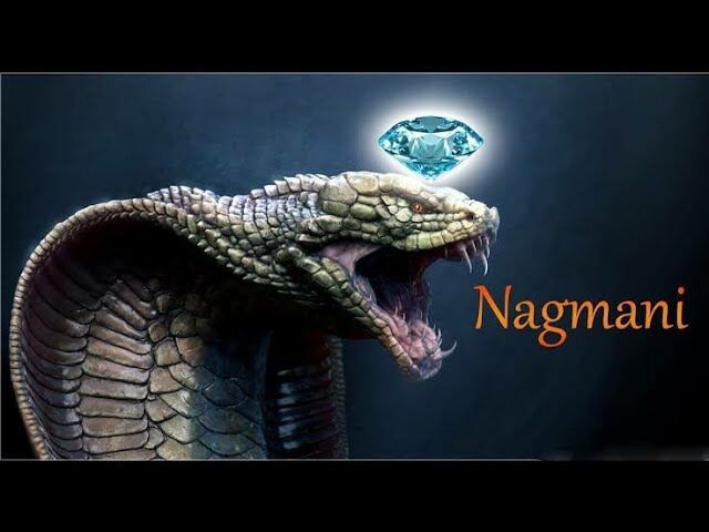 Does Nagmani Really Exist? What Is the Mysterious Tale Behind This ...