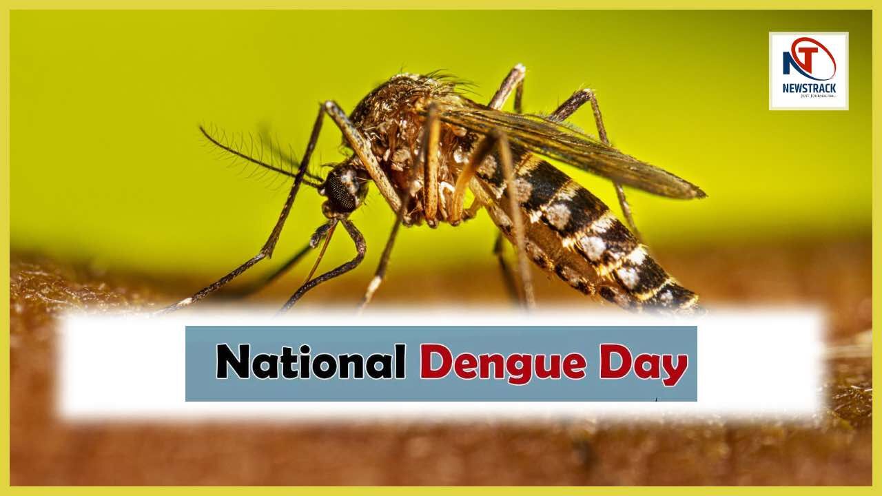 National Dengue Day 2025: Why It Is Observed on May 16, Its Theme ...