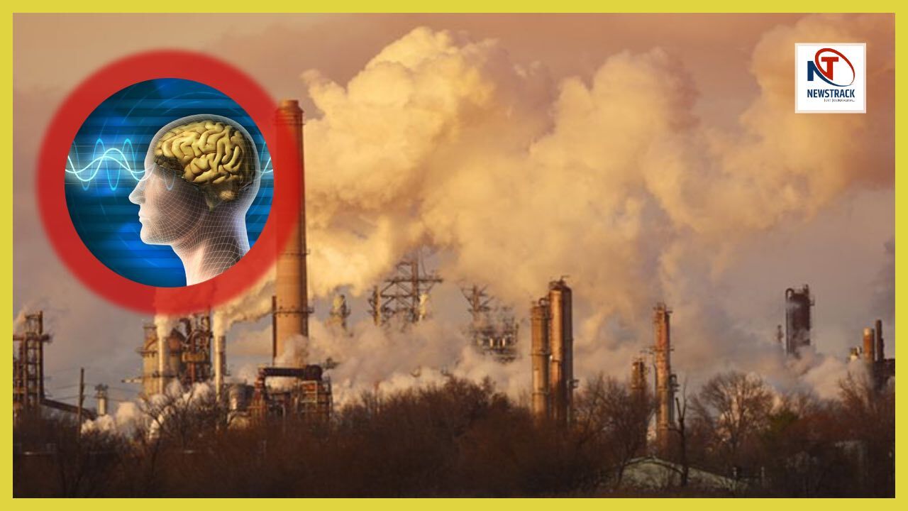 Is Air Pollution Increasing the Risk of Epilepsy? New Research Issues a ...