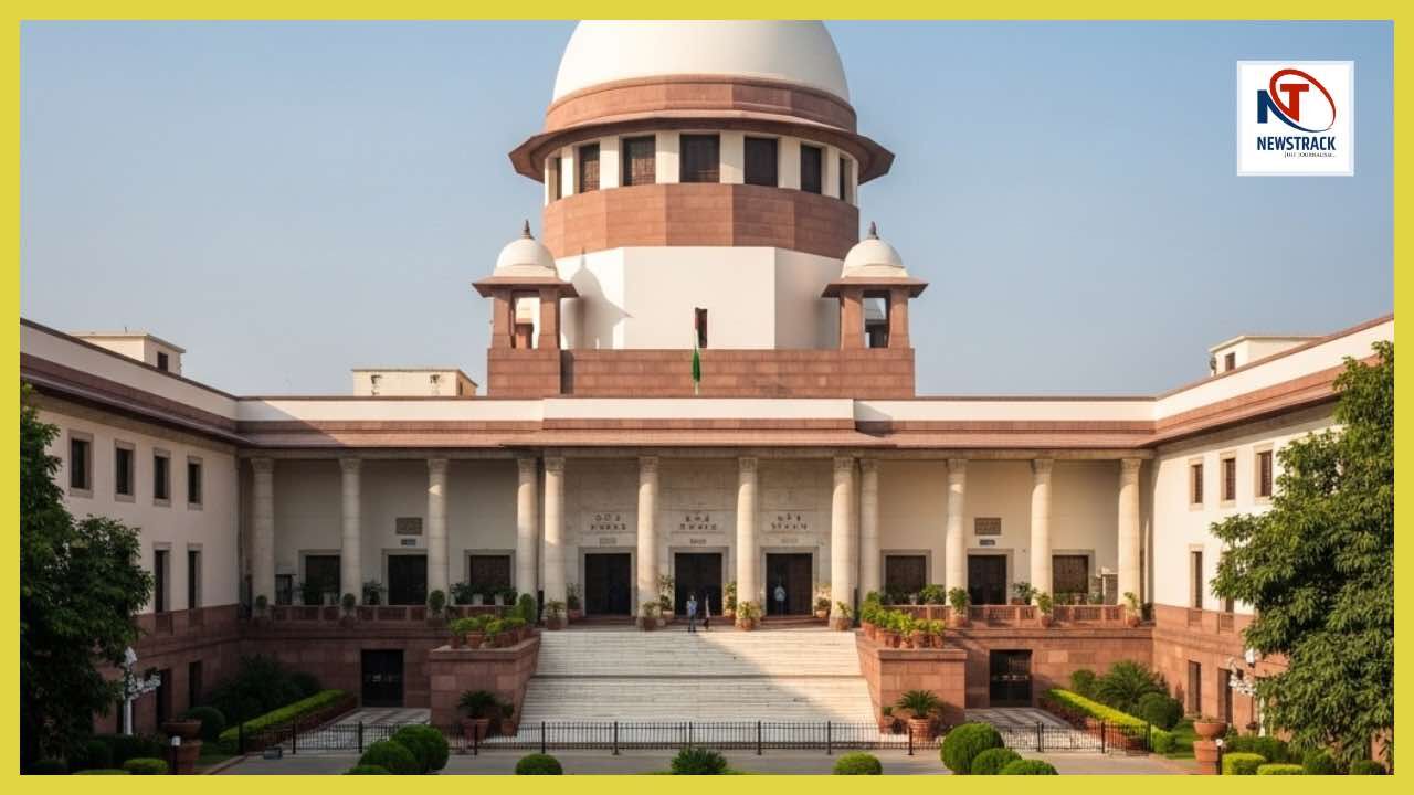 Supreme Court’s Stray Dog Order on August 12 Sparks India-Wide Debate | Supreme Courtâ s Stray ...