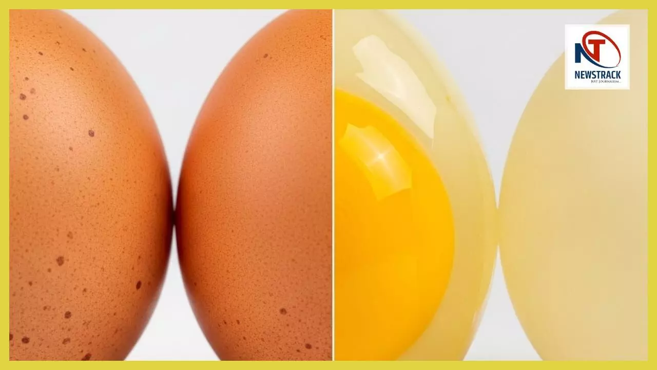 Real Egg vs. Synthetic Egg: After Paneer, Now Eggs Are Being Adulterated! Could You Be Eating a ...