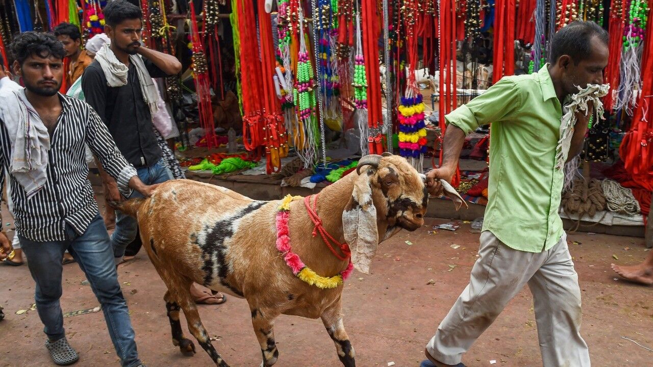 Bakrid 2025: Bakra Cutting Alternative As Per Allah’s Real Message ...