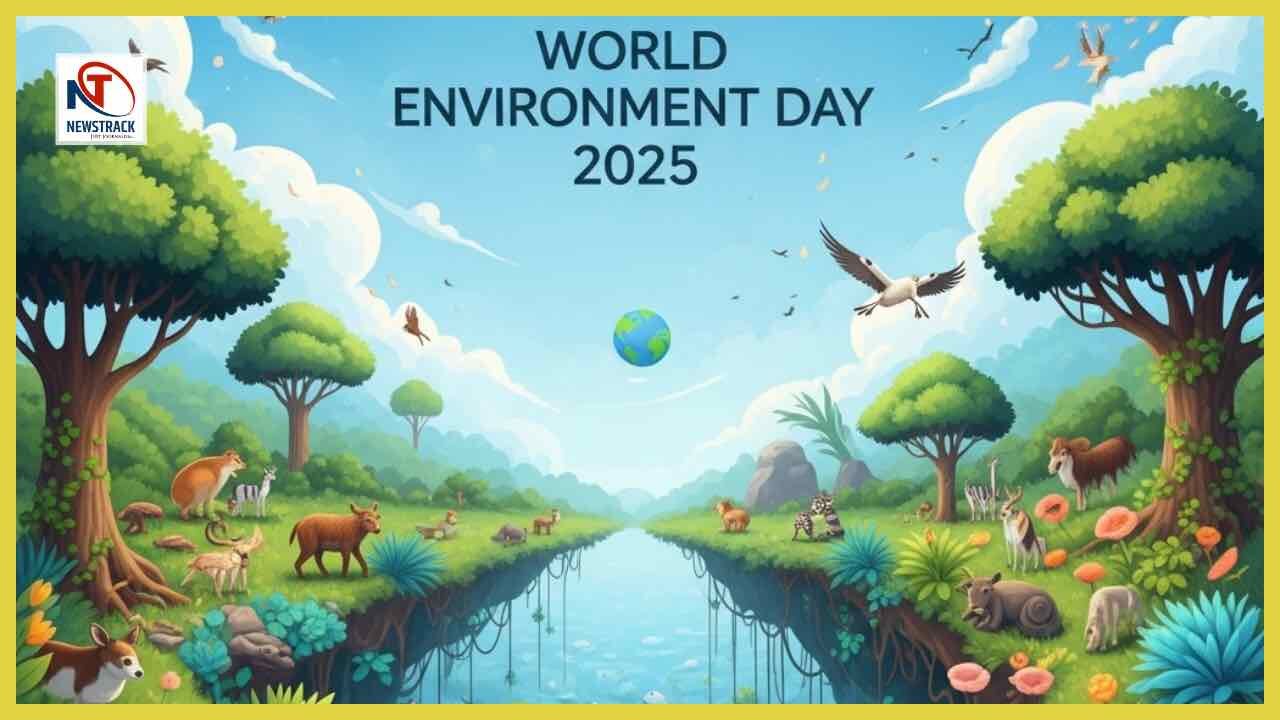 World Environment Day 2025: When It’s Celebrated, Why, and Its ...