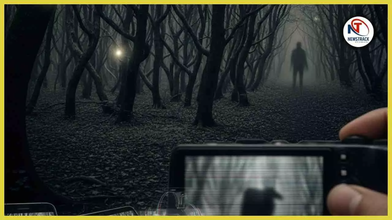 Hoia Baciu Forest Mystery: The Forest Where Even Science Fails Before ...