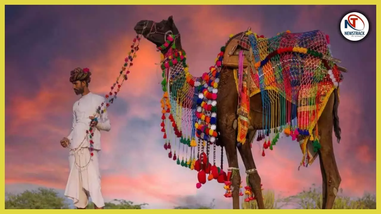 The Thar Desert: Stories of Colorful Culture and Unsolved Challenges ...