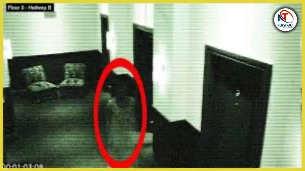 She Had Died Eight Years Ago! Yet She Came to the Office Daily, The ...