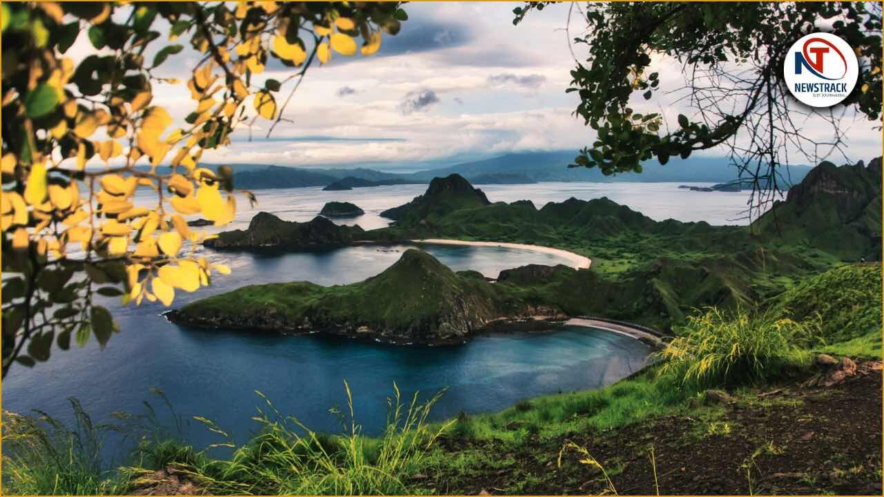 Wallace Line: A Mysterious Biological Divide that Separates Species ...