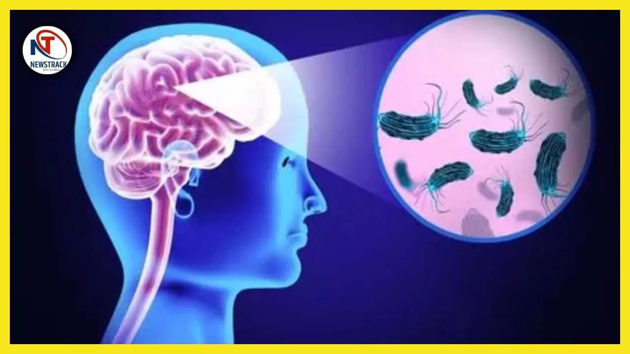 Kerala under the Shadow of Death, How to Stay Safe from the Brain ...