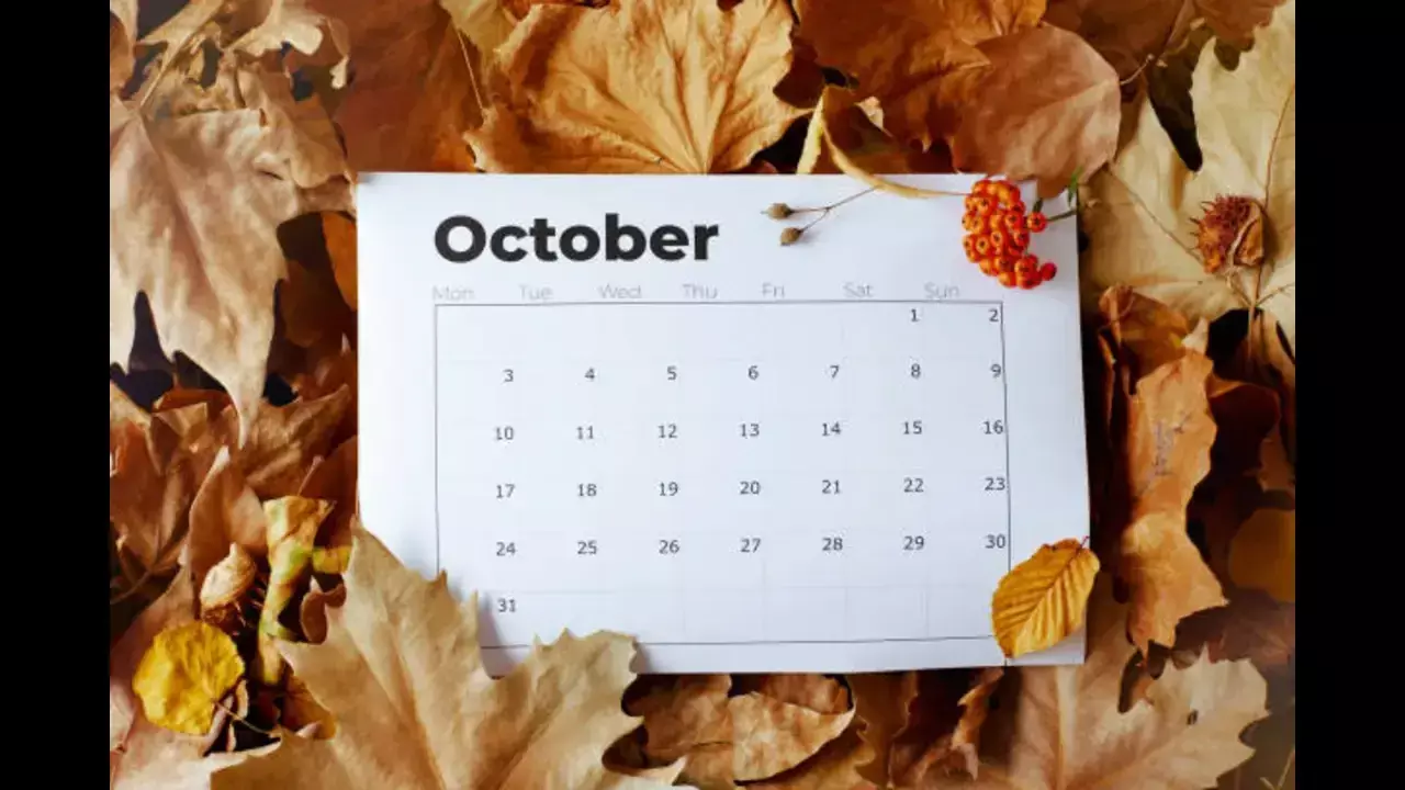 Why October 3 is a Special Day in India | Why October 3 is a Special ...
