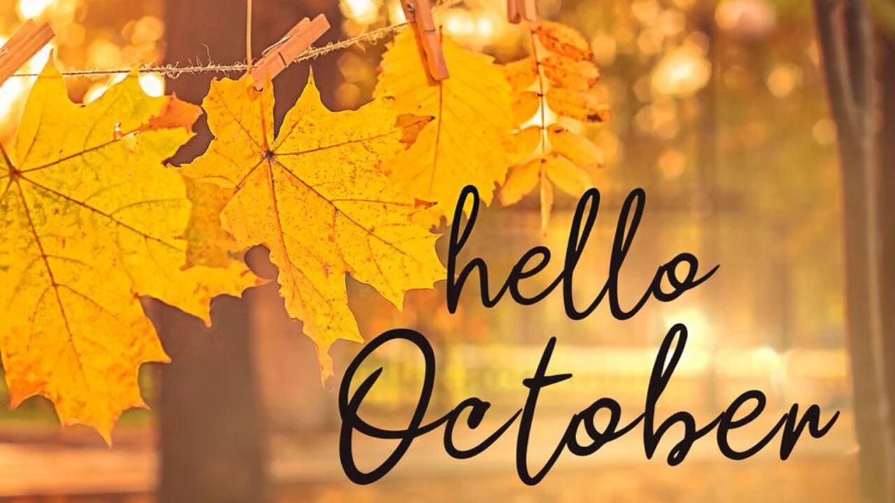 Why October 6 Is Special Day in India: Festivals, History, and Famous ...