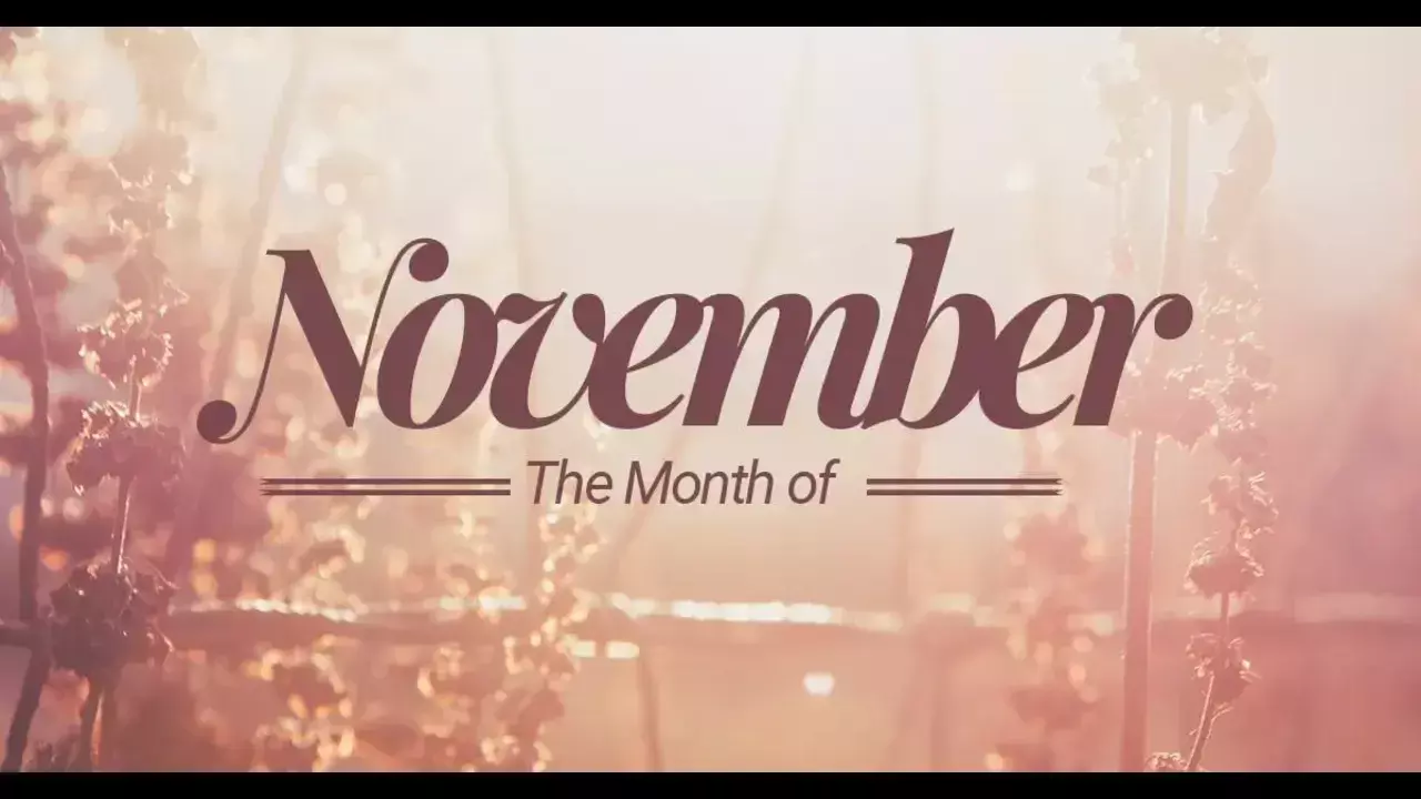 Why November 12 Is a Special Day in India | Why November 12 Is a ...