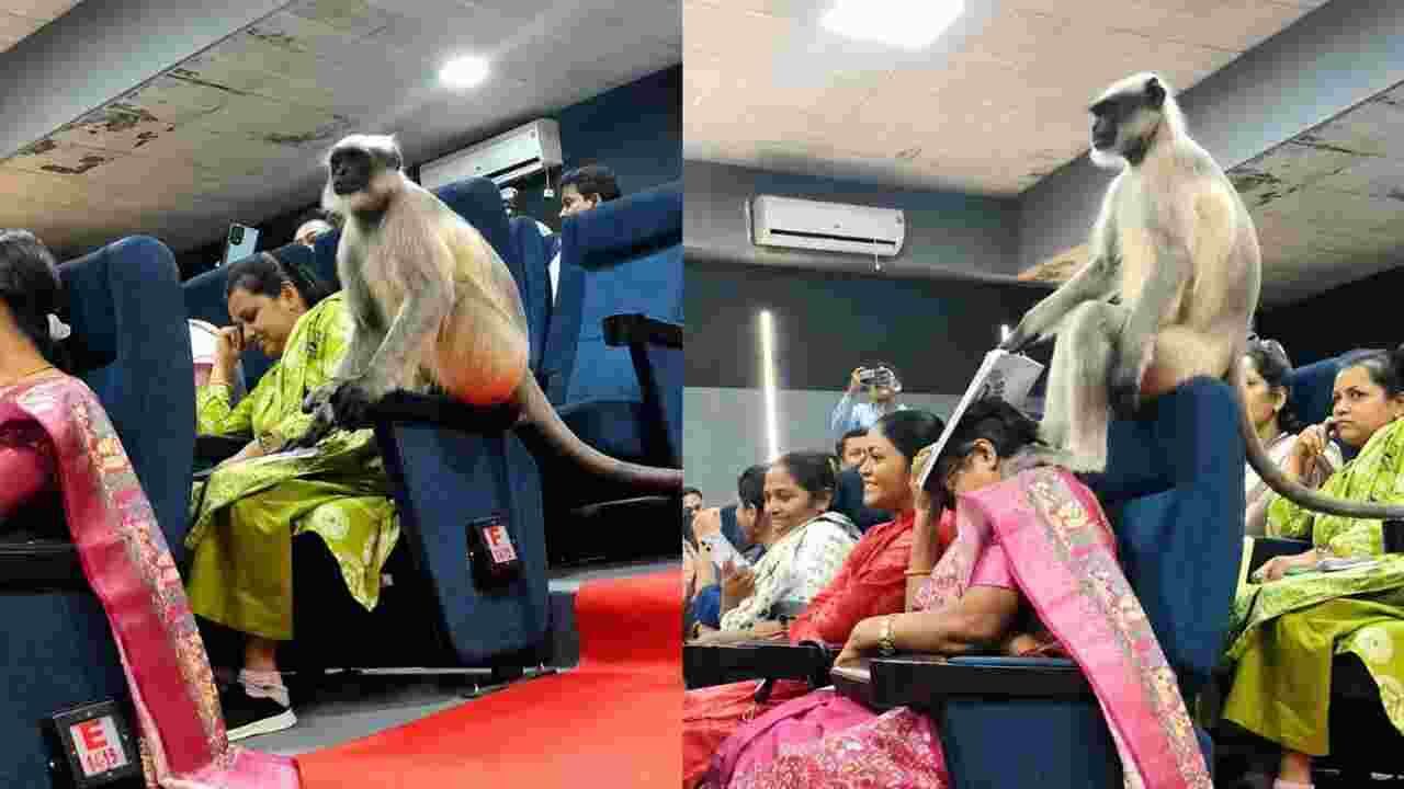 Unexpected Guest! Monkey Casually Joins Gujarat Govt Workshop, Video ...