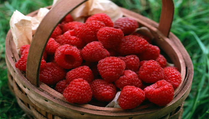 Tips to keep a healthy heart, so we won’t be apart…!!!