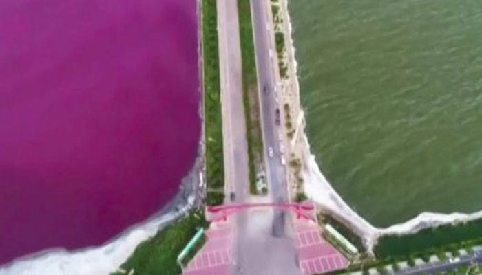 Chinese lake Yuncheng turns it color to pink, green