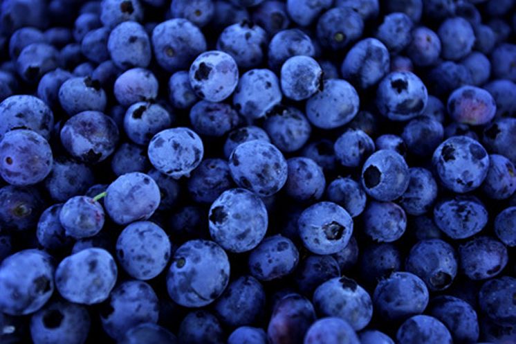 Treat cervical cancer by consuming blueberries